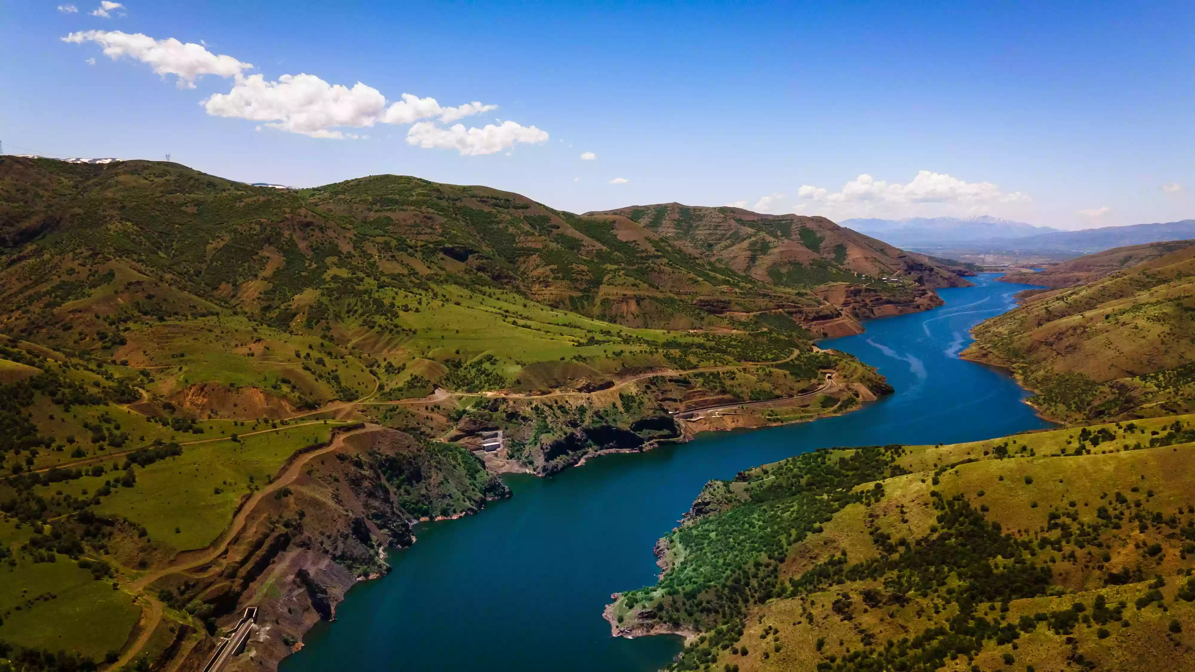 Murat Nehri